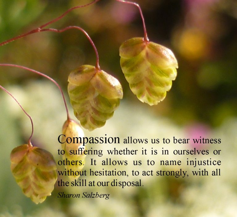 The Charter for Compassion | The Gentle Art of Blessing