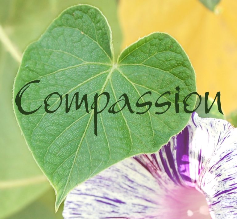 Un exemple rare de compassion | Le simple art de bénir